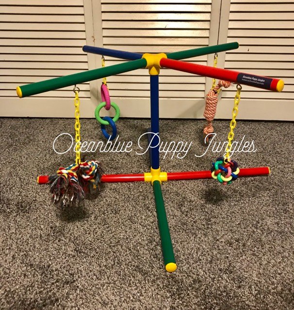 Puppy Carousel - Small – Oceanblue Puppy Jungles