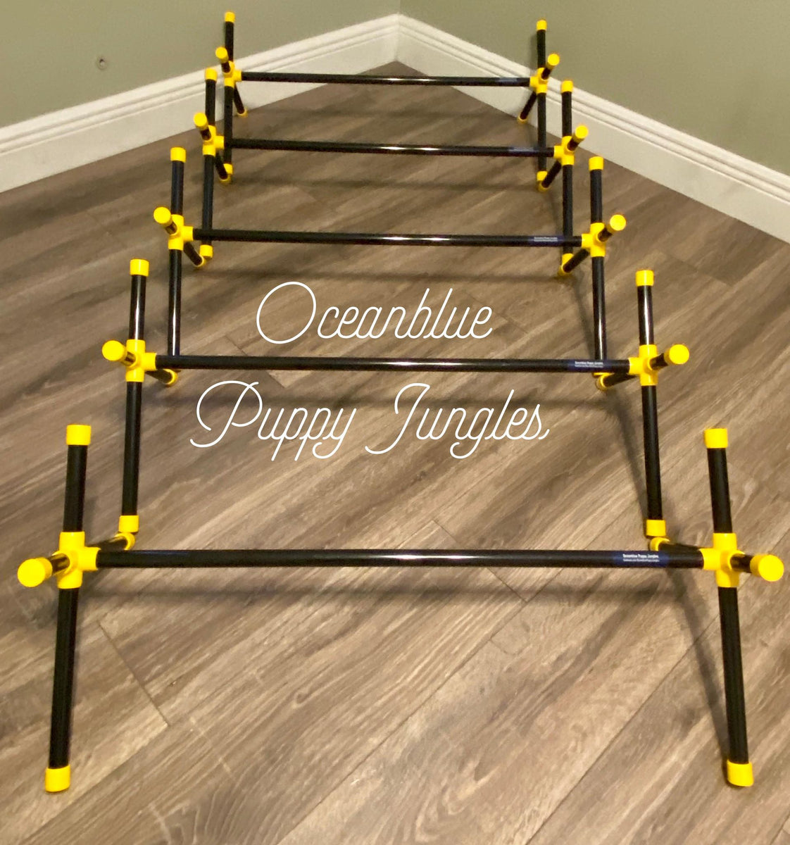 Dog Cavaletti - Variable – Oceanblue Puppy Jungles