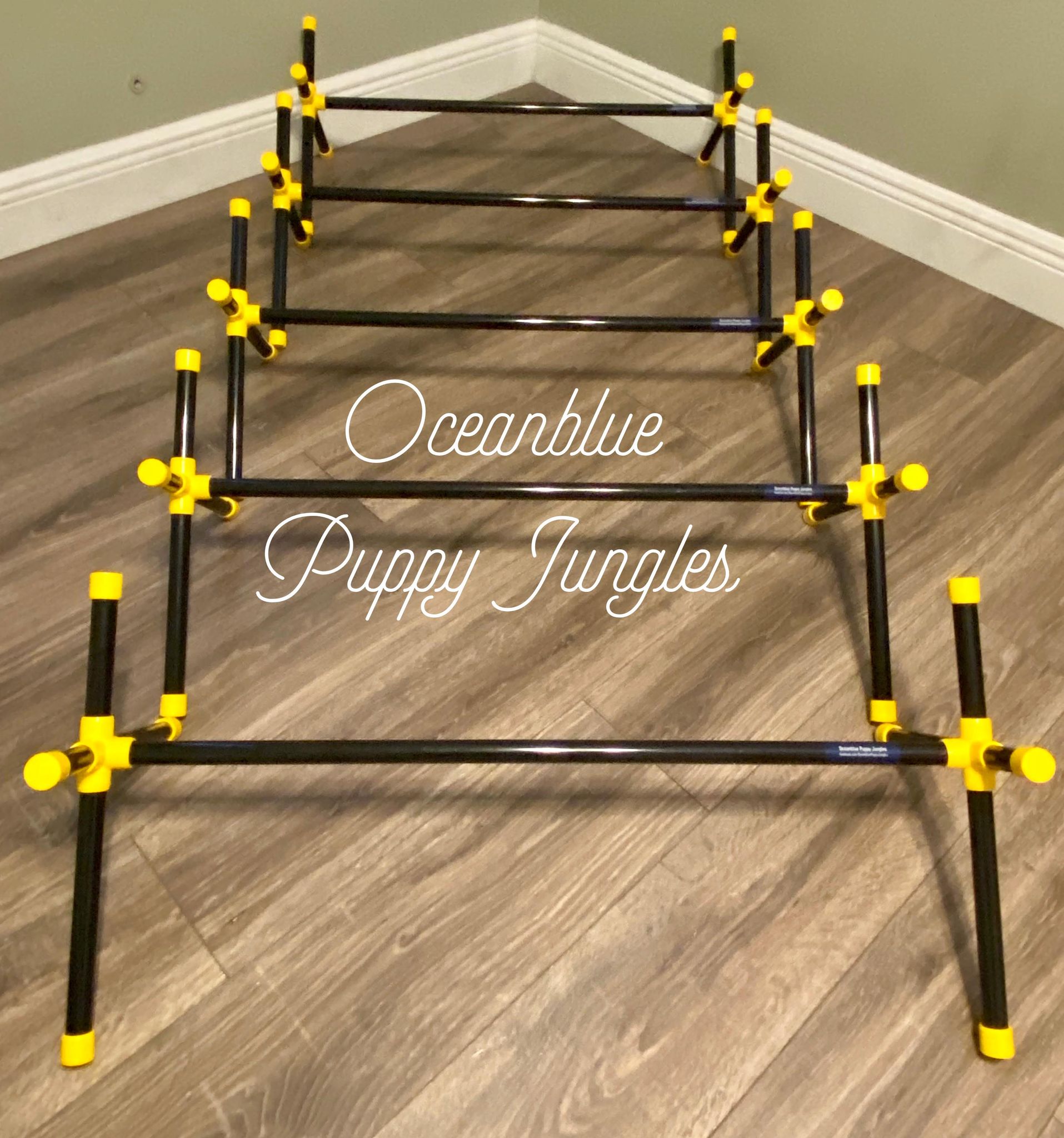 Dog Cavaletti - Variable – Oceanblue Puppy Jungles